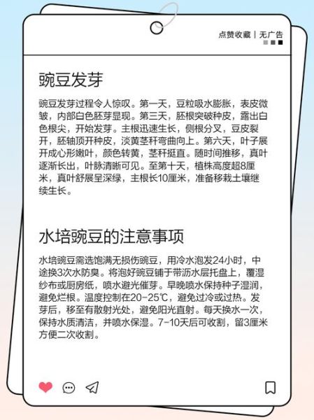 豌豆芽怎么下载_豌豆芽下载安全吗-第2张图片-山城妙识 豌豆芽怎么下载_豌豆芽下载安全吗-第2张图片-山城妙识