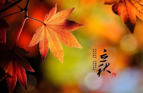 立秋图片怎么拍_立秋摄影技巧有哪些-第1张图片-山城妙识 立秋图片怎么拍_立秋摄影技巧有哪些-第1张图片-山城妙识