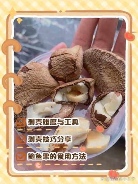 鲍鱼怎么剥壳_鲍鱼怎么吃最鲜嫩-第2张图片-山城妙识 鲍鱼怎么剥壳_鲍鱼怎么吃最鲜嫩-第2张图片-山城妙识