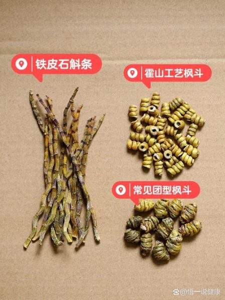 石斛和铁皮石斛的区别_哪个更好-第3张图片-山城妙识 石斛和铁皮石斛的区别_哪个更好-第3张图片-山城妙识