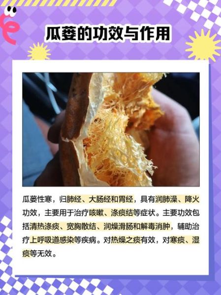 瓜蒌花有什么功效_瓜蒌花怎么泡水喝-第2张图片-山城妙识 瓜蒌花有什么功效_瓜蒌花怎么泡水喝-第2张图片-山城妙识