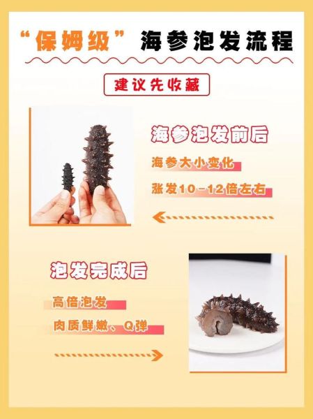 干海参花怎样泡发最好_海参花泡发时间多久-第1张图片-山城妙识 干海参花怎样泡发最好_海参花泡发时间多久-第1张图片-山城妙识