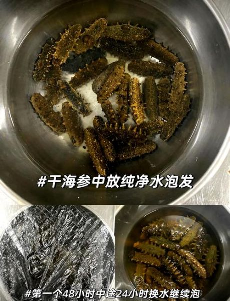 干海参花怎样泡发最好_海参花泡发时间多久-第3张图片-山城妙识 干海参花怎样泡发最好_海参花泡发时间多久-第3张图片-山城妙识
