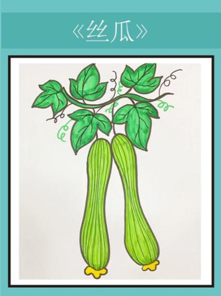 丝瓜图片大全卡通_丝瓜卡通怎么画-第1张图片-山城妙识