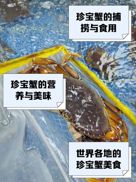 珍宝蟹价格多少钱一斤_珍宝蟹为什么这么贵-第2张图片-山城妙识
