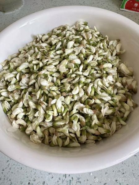 槐花怎么蒸好吃_蒸槐花不黏不散的技巧-第1张图片-山城妙识 槐花怎么蒸好吃_蒸槐花不黏不散的技巧-第1张图片-山城妙识