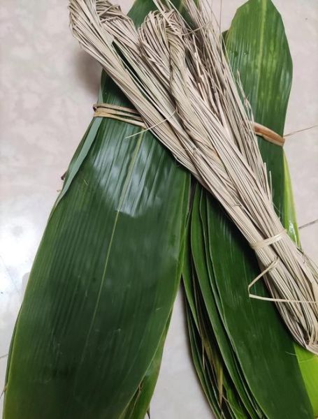 粽子叶子是什么叶子_粽子叶子怎么处理不裂-第1张图片-山城妙识