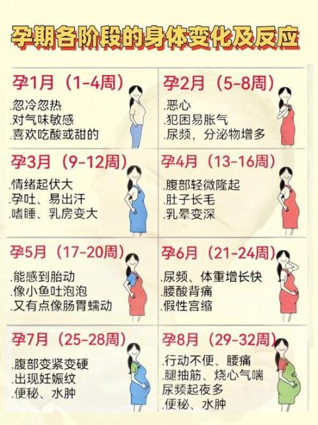 怀孕初期症状有哪些_如何判断自己怀孕了-第1张图片-山城妙识 怀孕初期症状有哪些_如何判断自己怀孕了-第1张图片-山城妙识