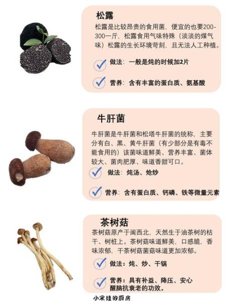 蘑菇的种类图片_如何快速识别常见品种-第3张图片-山城妙识 蘑菇的种类图片_如何快速识别常见品种-第3张图片-山城妙识