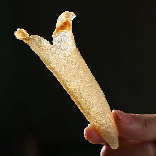 鱼肚花胶的功效与作用_孕妇可以吃花胶吗-第2张图片-山城妙识 鱼肚花胶的功效与作用_孕妇可以吃花胶吗-第2张图片-山城妙识