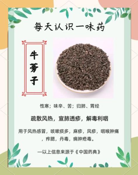 新鲜牛蒡叶怎么吃_牛蒡叶家常做法大全-第3张图片-山城妙识 新鲜牛蒡叶怎么吃_牛蒡叶家常做法大全-第3张图片-山城妙识