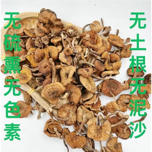 野生榛蘑多少钱一斤_野生榛蘑价格受哪些因素影响-第3张图片-山城妙识 野生榛蘑多少钱一斤_野生榛蘑价格受哪些因素影响-第3张图片-山城妙识