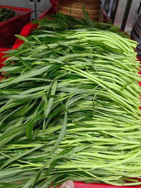 绿色蔬菜有哪些_绿色蔬菜怎么保存最新鲜-第3张图片-山城妙识