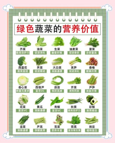 绿色蔬菜有哪些_绿色蔬菜怎么保存最新鲜-第2张图片-山城妙识