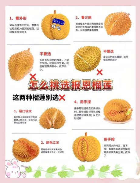 榴莲图片高清_如何挑选果肉饱满的榴莲-第2张图片-山城妙识 榴莲图片高清_如何挑选果肉饱满的榴莲-第2张图片-山城妙识
