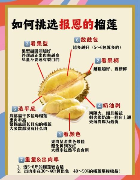 榴莲图片高清_如何挑选果肉饱满的榴莲-第1张图片-山城妙识 榴莲图片高清_如何挑选果肉饱满的榴莲-第1张图片-山城妙识