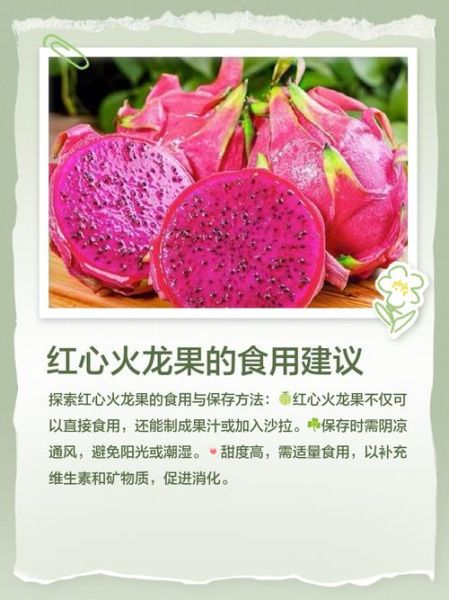 红心火龙果有什么好处_红心火龙果能减肥吗-第2张图片-山城妙识 红心火龙果有什么好处_红心火龙果能减肥吗-第2张图片-山城妙识