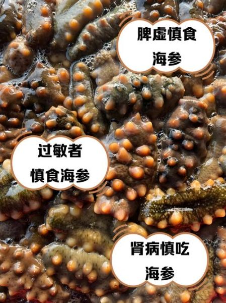 海参禁忌人群有哪些_哪些人不能吃海参-第1张图片-山城妙识 海参禁忌人群有哪些_哪些人不能吃海参-第1张图片-山城妙识