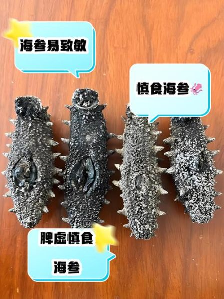 海参禁忌人群有哪些_哪些人不能吃海参-第2张图片-山城妙识 海参禁忌人群有哪些_哪些人不能吃海参-第2张图片-山城妙识
