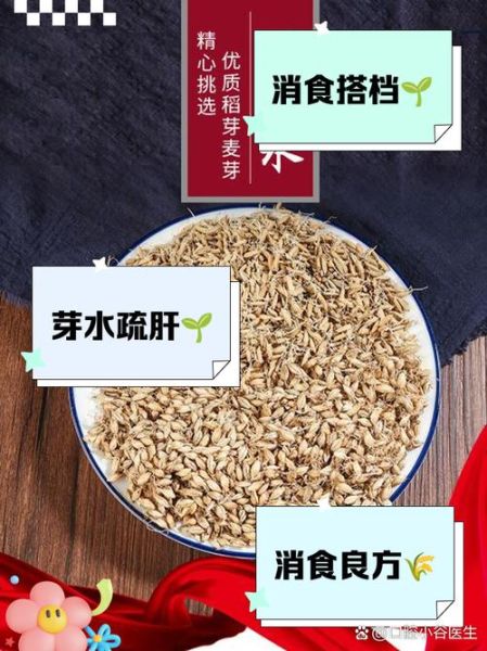 谷芽麦芽陈皮水功效_谷芽麦芽陈皮水适合什么人喝-第1张图片-山城妙识 谷芽麦芽陈皮水功效_谷芽麦芽陈皮水适合什么人喝-第1张图片-山城妙识