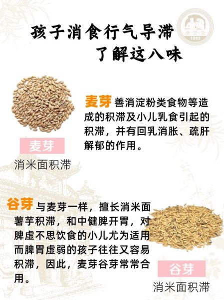 谷芽麦芽陈皮水功效_谷芽麦芽陈皮水适合什么人喝-第3张图片-山城妙识 谷芽麦芽陈皮水功效_谷芽麦芽陈皮水适合什么人喝-第3张图片-山城妙识