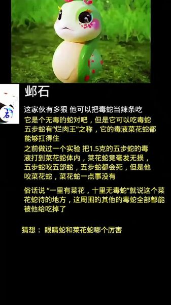 菜花蛇大战眼镜王蛇_谁更厉害-第1张图片-山城妙识 菜花蛇大战眼镜王蛇_谁更厉害-第1张图片-山城妙识