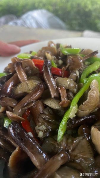 炒蘑菇不焯水会中毒吗_蘑菇焯水必要性-第1张图片-山城妙识