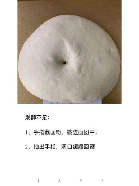 发酵面粉怎么做_发酵面粉需要多长时间-第3张图片-山城妙识 发酵面粉怎么做_发酵面粉需要多长时间-第3张图片-山城妙识