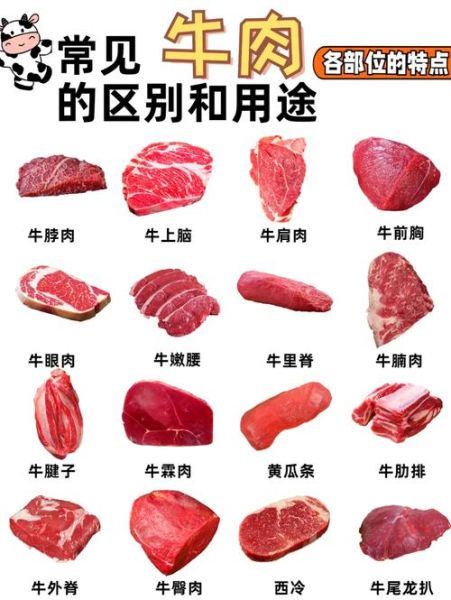 牛腱子肉是牛哪个部位_前腱后腱区别-第1张图片-山城妙识