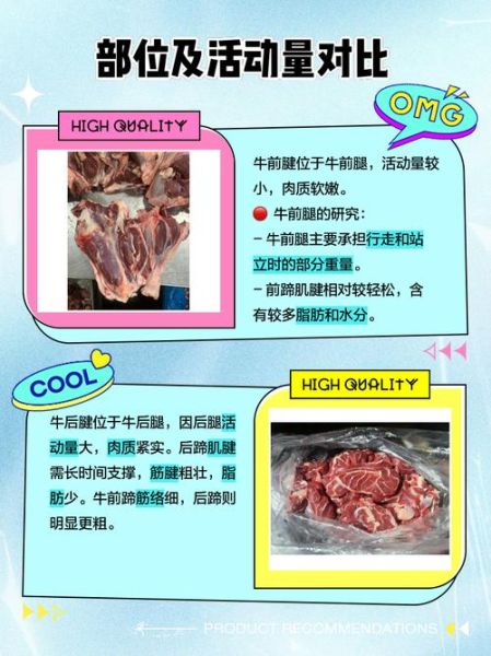 牛腱子肉是牛哪个部位_前腱后腱区别-第2张图片-山城妙识