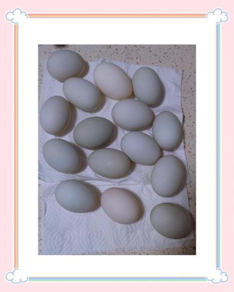 怎样快速腌鸭蛋出油又好吃_快速腌鸭蛋出油技巧-第3张图片-山城妙识 怎样快速腌鸭蛋出油又好吃_快速腌鸭蛋出油技巧-第3张图片-山城妙识