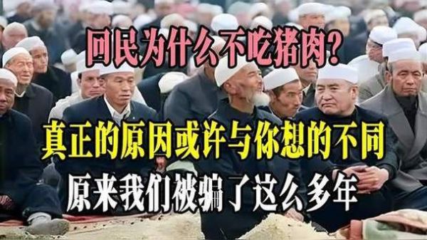 回民吃了猪肉怎么办_如何补救-第3张图片-山城妙识 回民吃了猪肉怎么办_如何补救-第3张图片-山城妙识