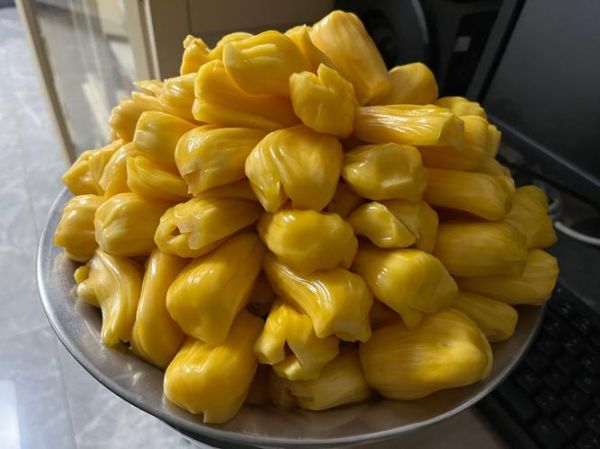 菠萝蜜怎么吃好吃又简单_菠萝蜜怎么剥皮不黏手-第3张图片-山城妙识