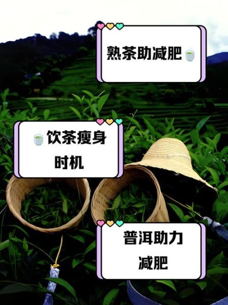 喝普洱茶能减肥吗_喝普洱瘦了10斤是真的吗-第1张图片-山城妙识 喝普洱茶能减肥吗_喝普洱瘦了10斤是真的吗-第1张图片-山城妙识