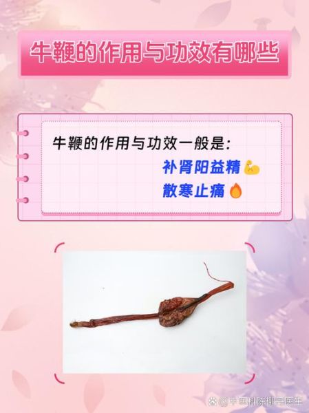 男人吃牛鞭多久见效_牛鞭吃多久才有效果-第3张图片-山城妙识