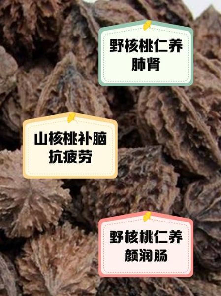 野生山核桃多少钱一斤_野生山核桃功效与作用-第1张图片-山城妙识