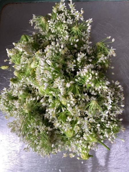 腌制的韭菜花能放多久_如何延长保存时间-第1张图片-山城妙识