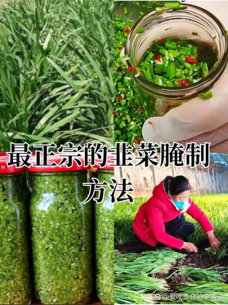 腌制的韭菜花能放多久_如何延长保存时间-第3张图片-山城妙识