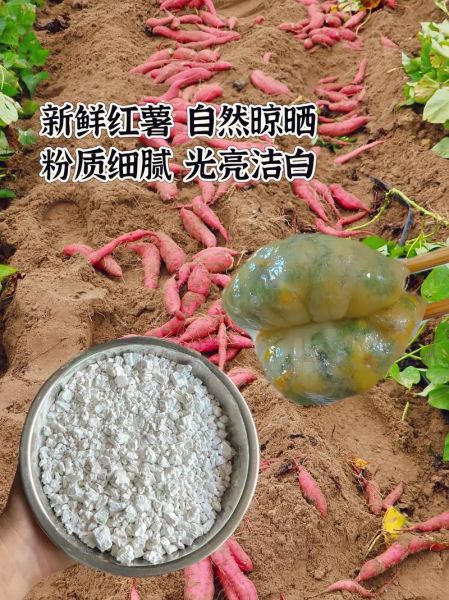 怎么勾芡效果好_勾芡用什么淀粉最滑-第1张图片-山城妙识 怎么勾芡效果好_勾芡用什么淀粉最滑-第1张图片-山城妙识