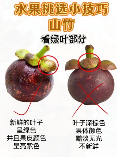 山竹的核能不能吃_山竹核能吞下去吗-第1张图片-山城妙识 山竹的核能不能吃_山竹核能吞下去吗-第1张图片-山城妙识