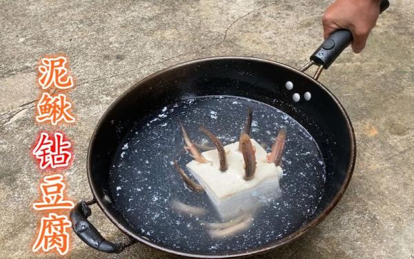 泥鳅钻豆腐怎么做_泥鳅钻豆腐为什么泥鳅会钻进去-第3张图片-山城妙识 泥鳅钻豆腐怎么做_泥鳅钻豆腐为什么泥鳅会钻进去-第3张图片-山城妙识