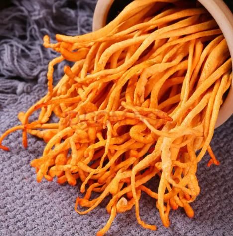 虫草花是什么东西_虫草花是冬虫夏草吗-第2张图片-山城妙识 虫草花是什么东西_虫草花是冬虫夏草吗-第2张图片-山城妙识