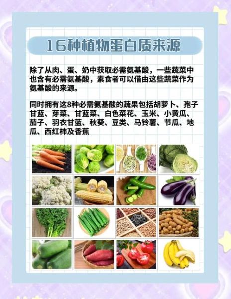 高蛋白蔬菜有哪些_如何吃够每日蛋白-第2张图片-山城妙识