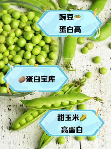 高蛋白蔬菜有哪些_如何吃够每日蛋白-第3张图片-山城妙识