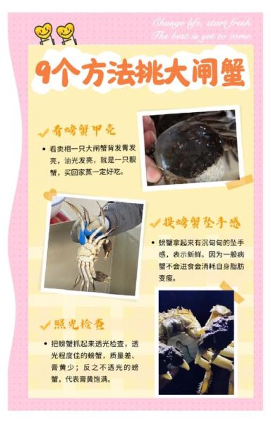 洪泽湖大闸蟹怎么挑_洪泽湖大闸蟹什么时候最肥-第3张图片-山城妙识 洪泽湖大闸蟹怎么挑_洪泽湖大闸蟹什么时候最肥-第3张图片-山城妙识