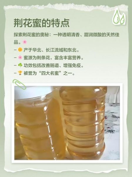 荆条蜜的作用与功效_荆条蜜适合什么人吃-第3张图片-山城妙识 荆条蜜的作用与功效_荆条蜜适合什么人吃-第3张图片-山城妙识