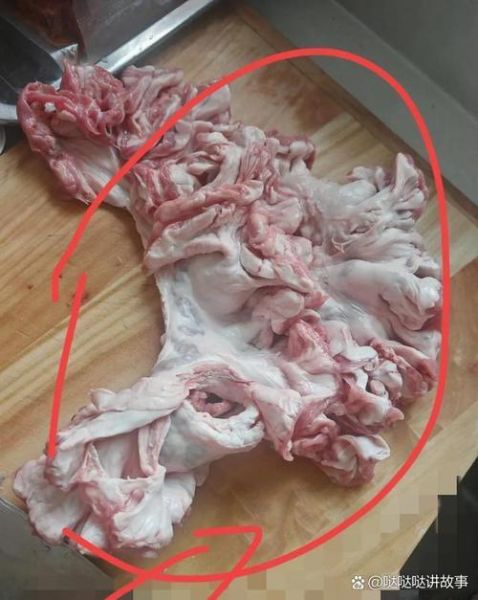 猪身上最差的肉叫什么_猪最差的肉是哪个部位-第1张图片-山城妙识 猪身上最差的肉叫什么_猪最差的肉是哪个部位-第1张图片-山城妙识