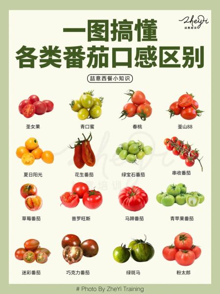 小番茄和大番茄的区别_哪个更营养-第1张图片-山城妙识 小番茄和大番茄的区别_哪个更营养-第1张图片-山城妙识