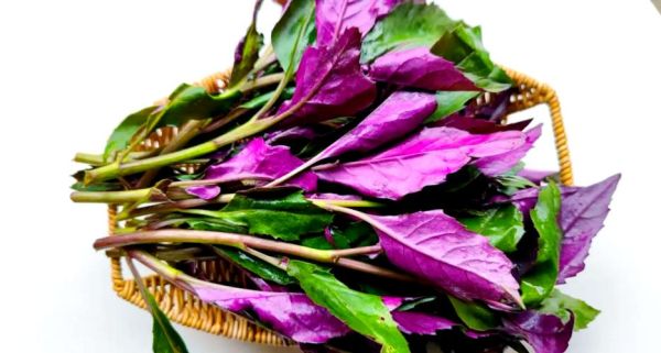 红凤菜怎么炒好吃_红凤菜的做法家常-第1张图片-山城妙识 红凤菜怎么炒好吃_红凤菜的做法家常-第1张图片-山城妙识