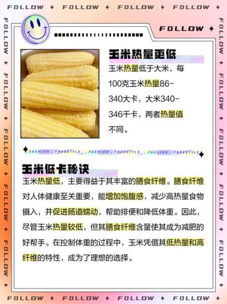 玉米热量高还是米饭热量高_减肥吃哪个更好-第1张图片-山城妙识 玉米热量高还是米饭热量高_减肥吃哪个更好-第1张图片-山城妙识